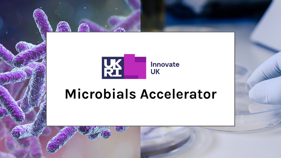 LYVA Labs - Case Studies